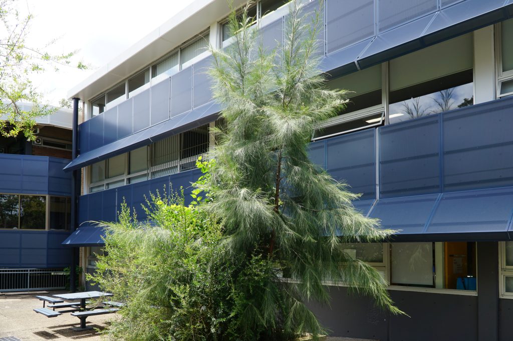 Sydney Secondary College - Balmain - DSC01807 - Arrow Metal